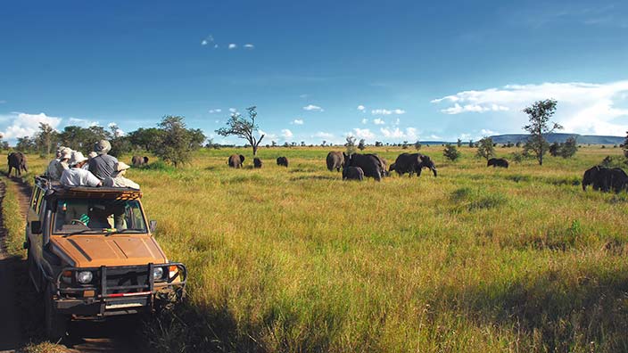The 10 Best African Safari Countries! (Top-Rated List)
