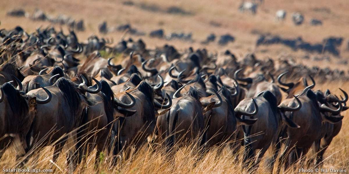 10 Most Beautiful and Interesting Places To Visit in Kenya – SafariBookings