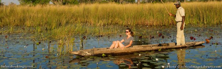 Africa's Best Safari Country of 2023 – SafariBookings