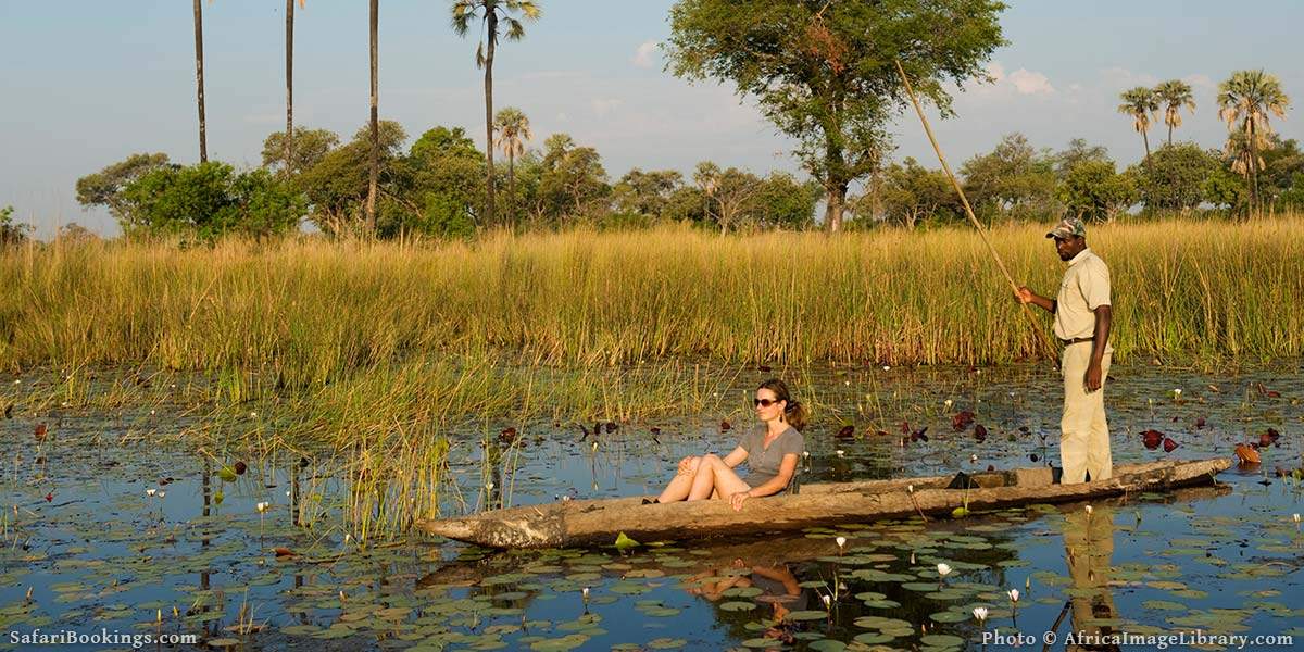 Africa’s Best Safari Country of 2023 – SafariBookings