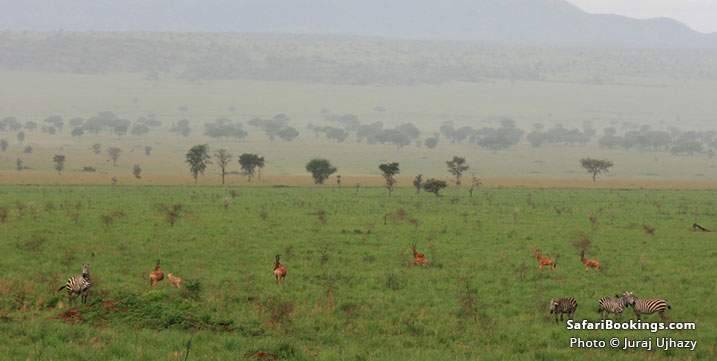 Top 10 Best Things to Do in Uganda – SafariBookings