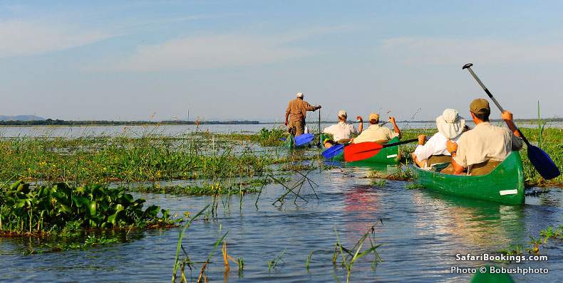 Top 10 Activities While on Safari – SafariBookings