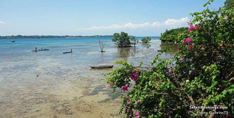 Top 10 Best Kenyan Islands – SafariBookings