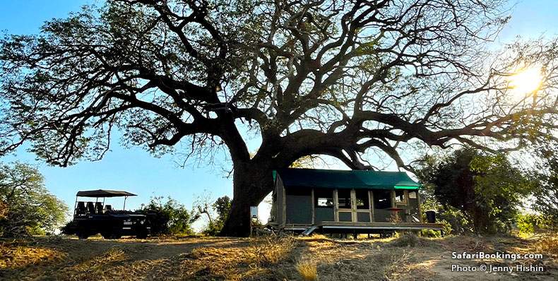 Top 8 Good-Value Accommodations in Zimbabwe – SafariBookings