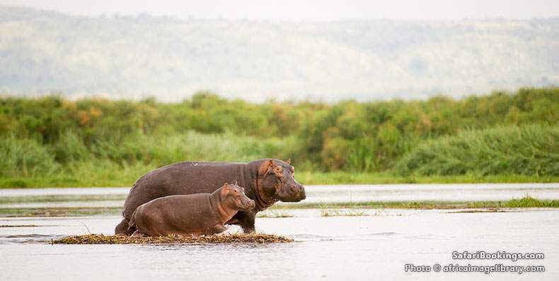 Top 10 Best Tourist Attractions and Places To Visit in Uganda ...