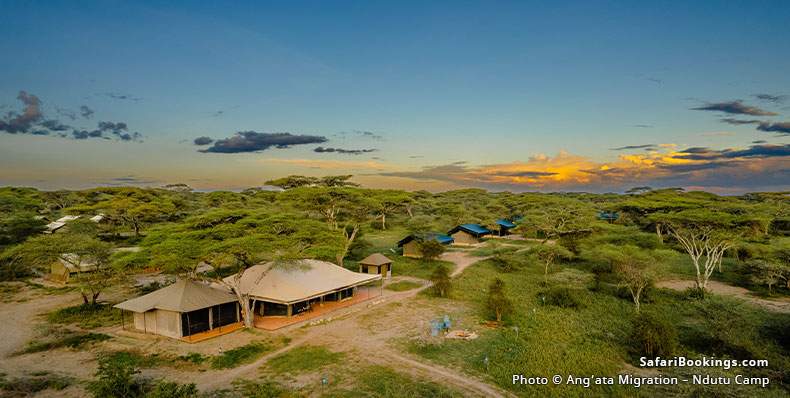 Top 10 Best-Value Ndutu Safari Lodges & Camps – SafariBookings