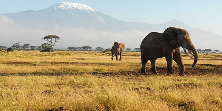 Amboseli Map – Detailed Map of Amboseli National Park