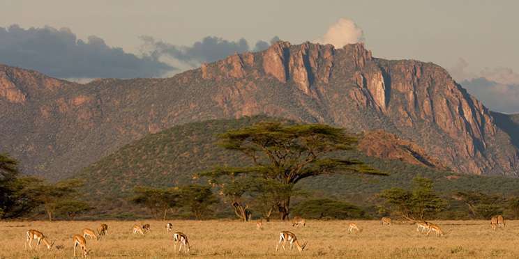 Buffalo Springs National Reserve – Travel Guide, Map & More!