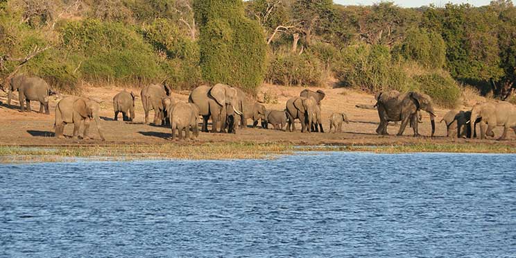 Chobe Map – Detailed map of Chobe National Park