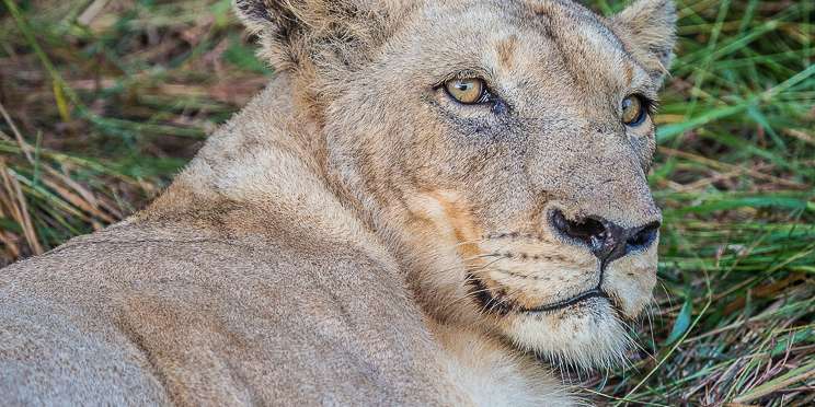 Eswatini (Swaziland) Weather & Climate (+ Climate Chart)