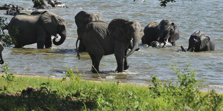 Kasungu National Park – Best Time To Visit, Wildlife & More!