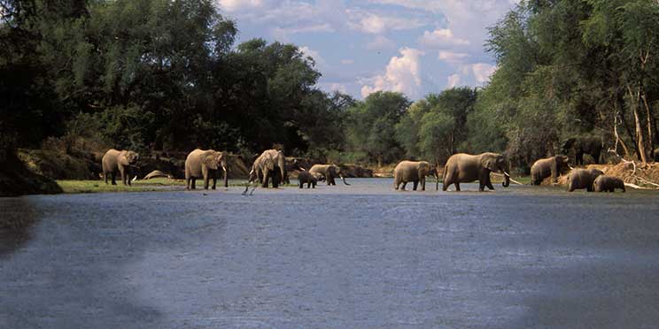 Lower Zambezi National Park – Travel Guide, Map & More!