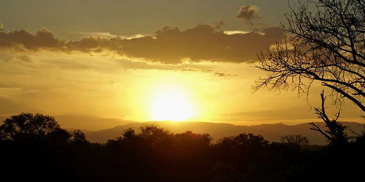 Manyeleti Map – Detailed Map of Manyeleti Game Reserve