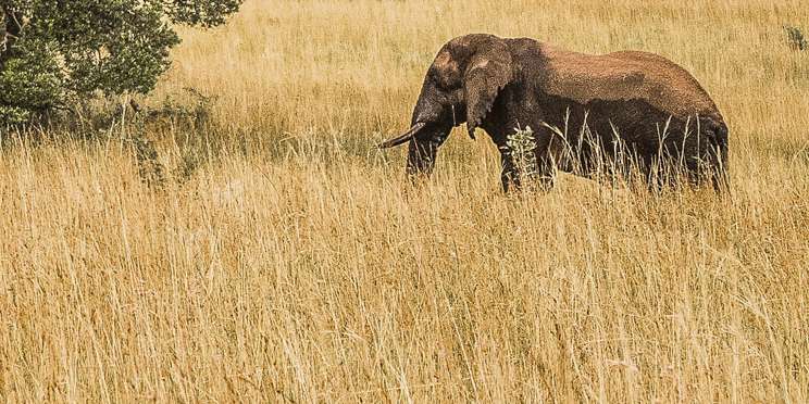 Maputo National Park – Travel Guide, Map & More!