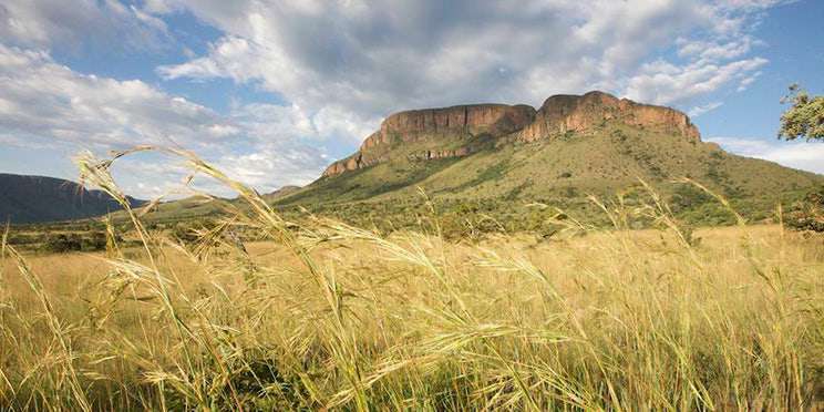 Marakele National Park – Travel Guide, Map & More!