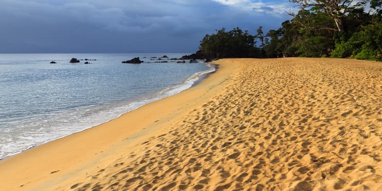 Masoala Animals – Wildlife in Masoala National Park