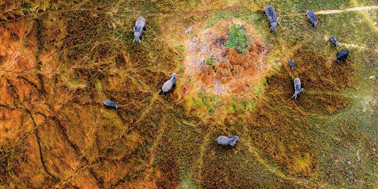 Moremi Map – Detailed map of Moremi Game Reserve