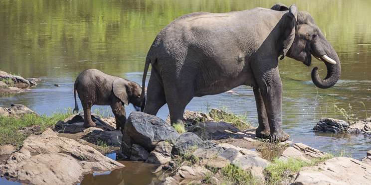 Nkhotakota Wildlife Reserve – Travel Guide, Map & More!