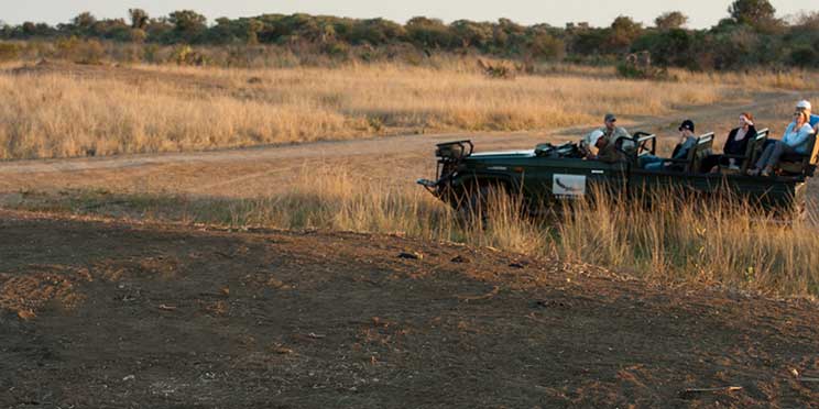 Phinda Private Game Reserve – Travel Guide, Map & More!