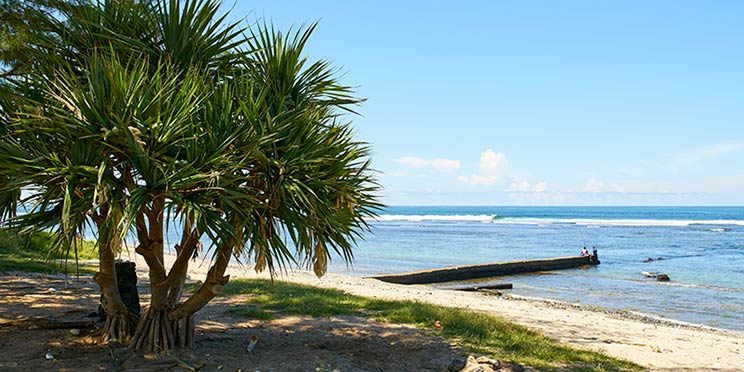 Réunion Travel Guide – Parks, Best Time, Reviews & More!