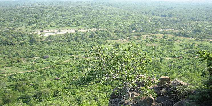 Ulusaba Private Game Reserve – Best Time to Visit, Wildlife & More!