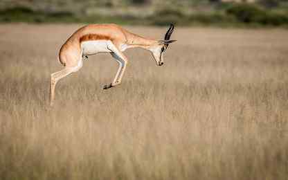 Botswana Weather & Climate (+ Climate Chart)