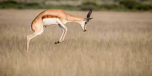 Botswana Weather & Climate (+ Climate Chart)