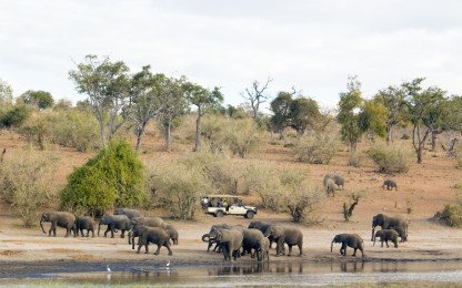 Chobe Photos – Images & pictures