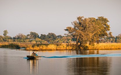 Chobe Photos – Images & pictures
