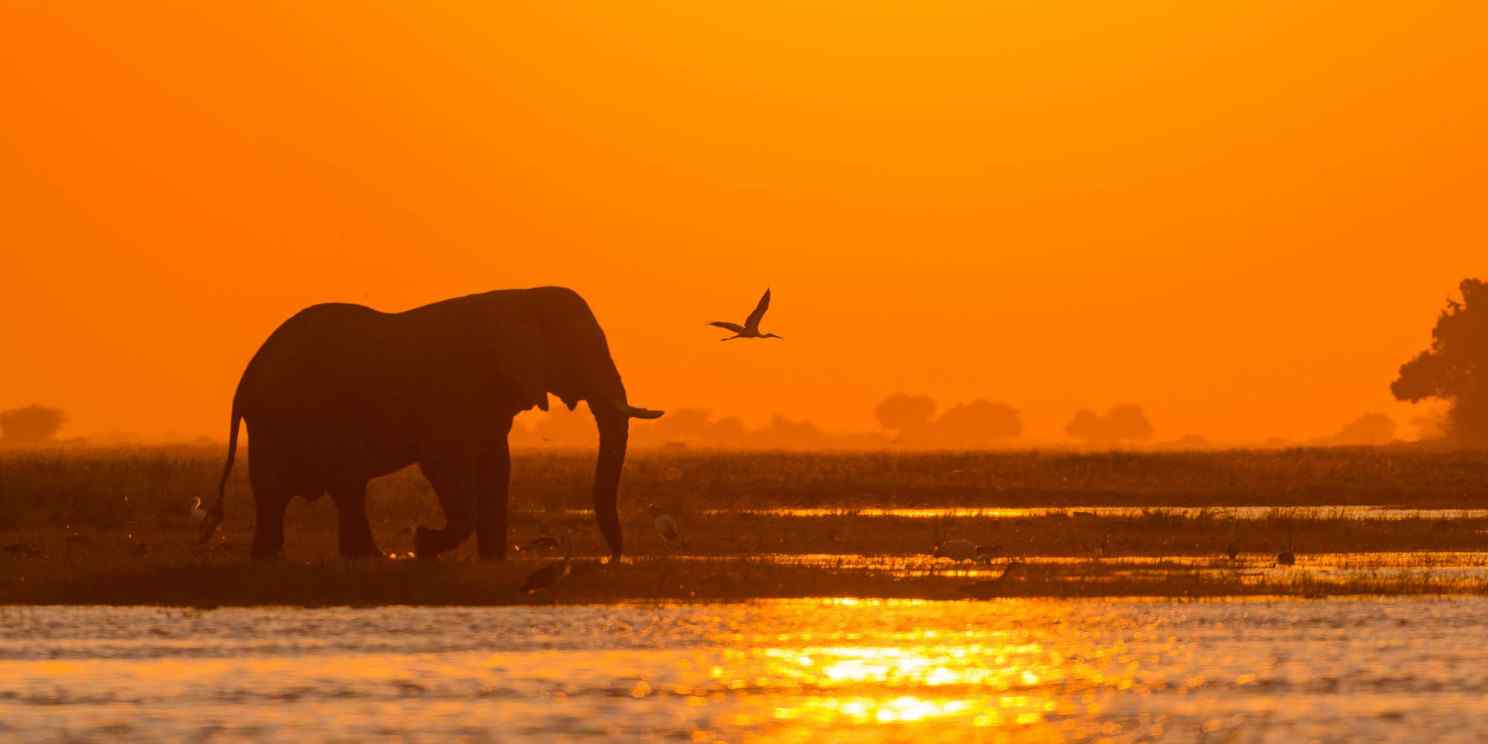Chobe Map – Detailed Map of Chobe National Park