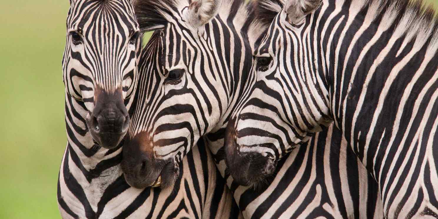Moremi Map – Detailed Map of Moremi Game Reserve