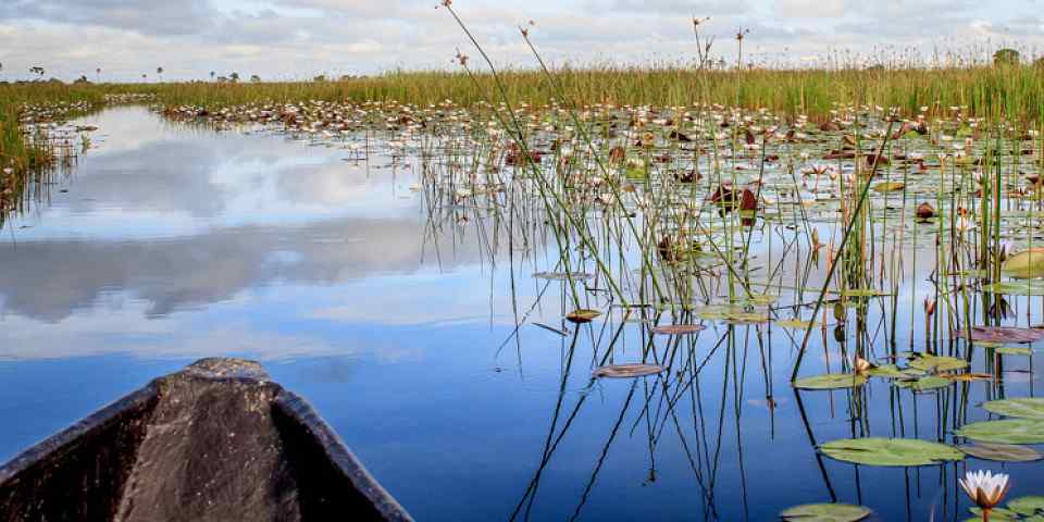 Moremi Map – Detailed Map of Moremi Game Reserve