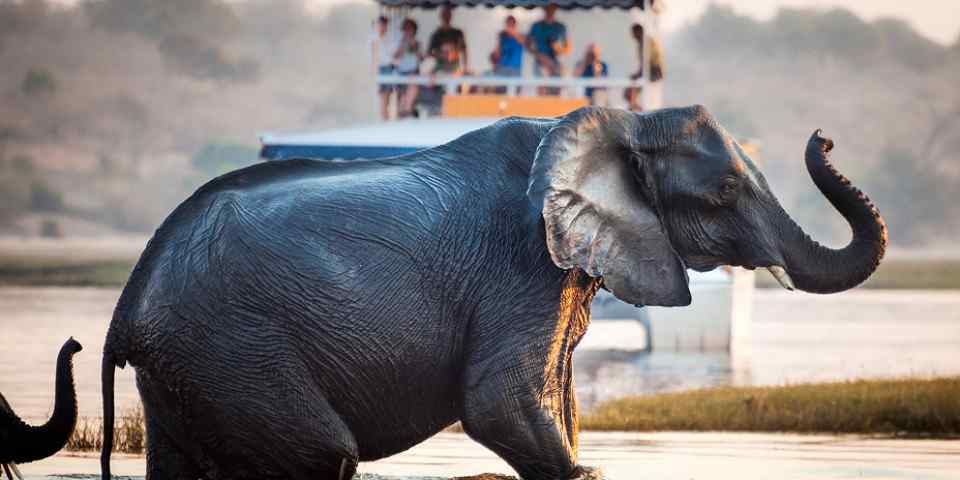 Chobe Map – Detailed Map of Chobe National Park