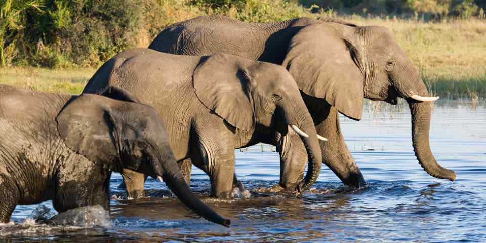 Chobe Map – Detailed Map of Chobe National Park