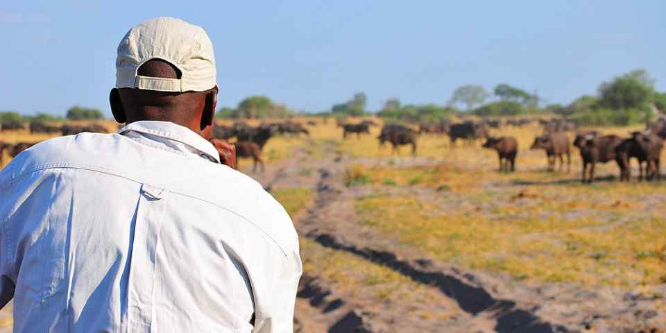 Moremi Map – Detailed Map of Moremi Game Reserve