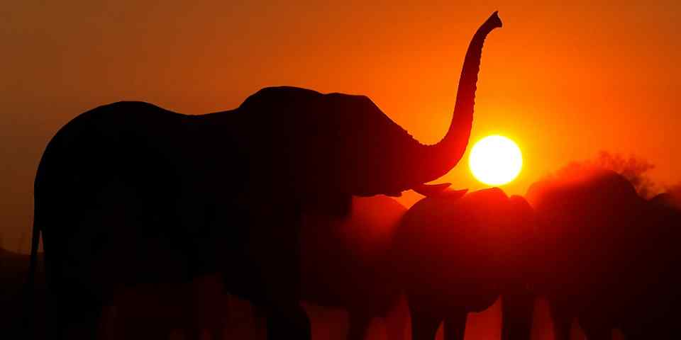 Botswana Weather & Climate (+ Climate Chart)