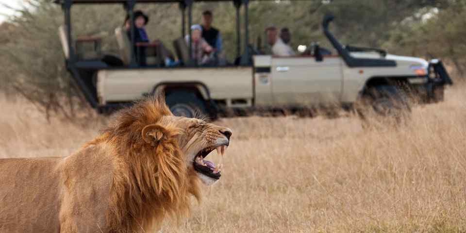 Okavango Delta Weather & Climate (+ Climate Chart)