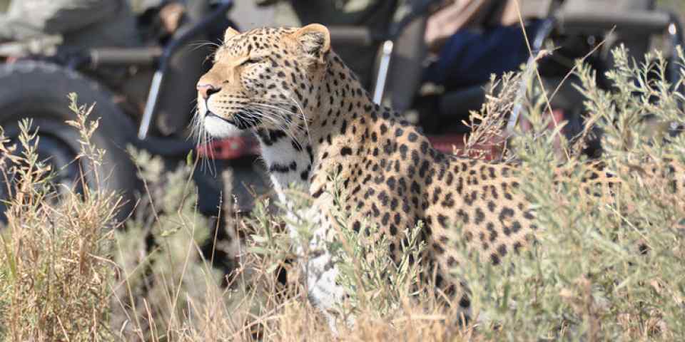 Central Kalahari Weather & Climate (+ Climate Chart)