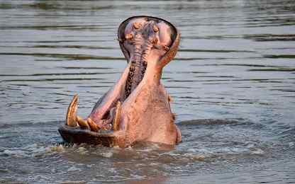 Eswatini (Swaziland) Weather & Climate (+ Climate Chart)