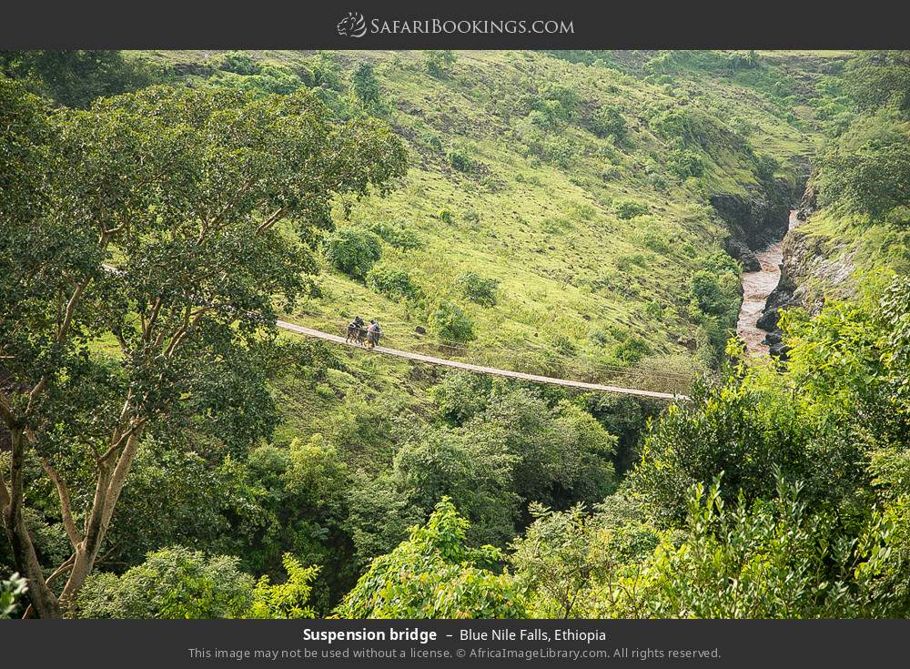 Ethiopia Safari: 2-Day Yerer Mountain Wildlife Sanctuary Safari