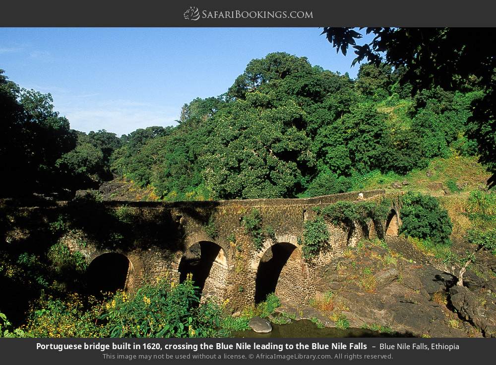 Ethiopia Safari: 1-Day Trip Addis Ababa Tiya Adadi Mariam & Melka Kunture