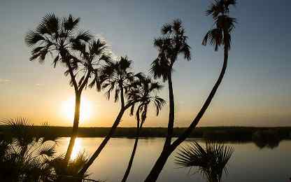 Awash National Park – Travel Guide, Map & More!