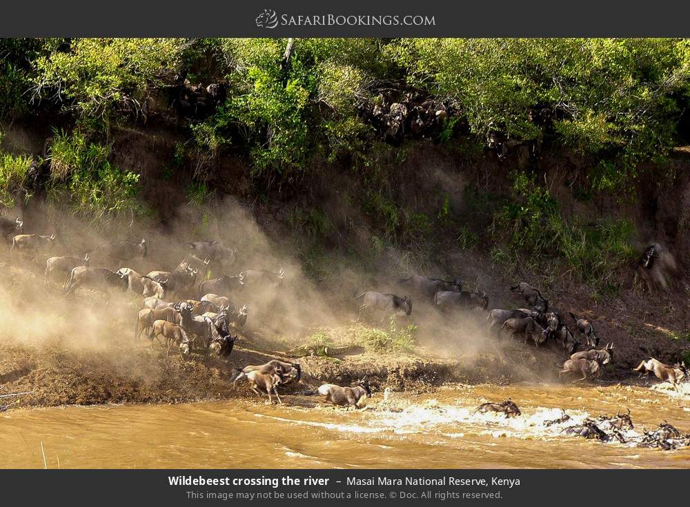 Kenya Safari: 5-Day Awesome Kenya - Mid-Range