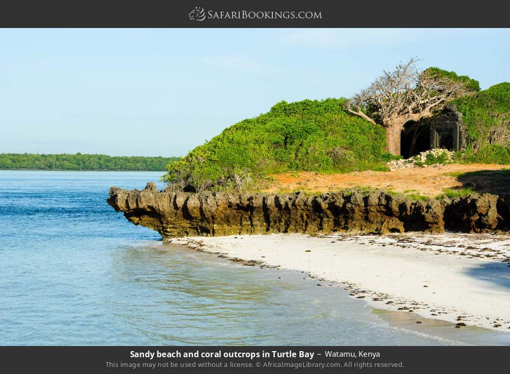 Kenya Safari: 3-Day Malindi/Watamu Beach Excursion