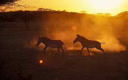 Shaba National Reserve – Travel Guide, Map & More!