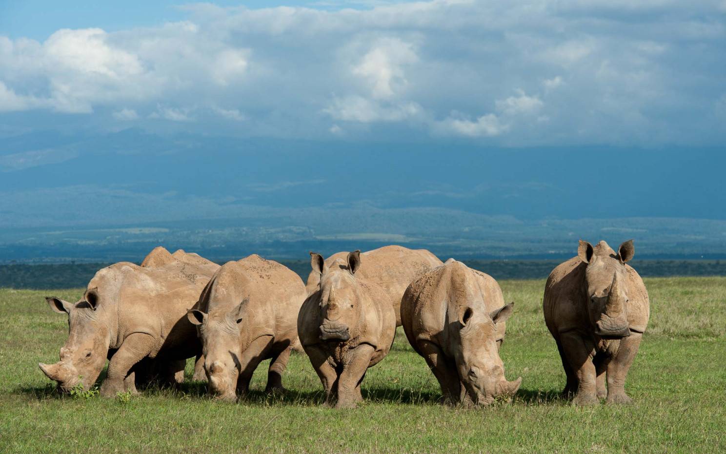 Best Things To Do in Kenya (2025) | Our Expert’s Choice