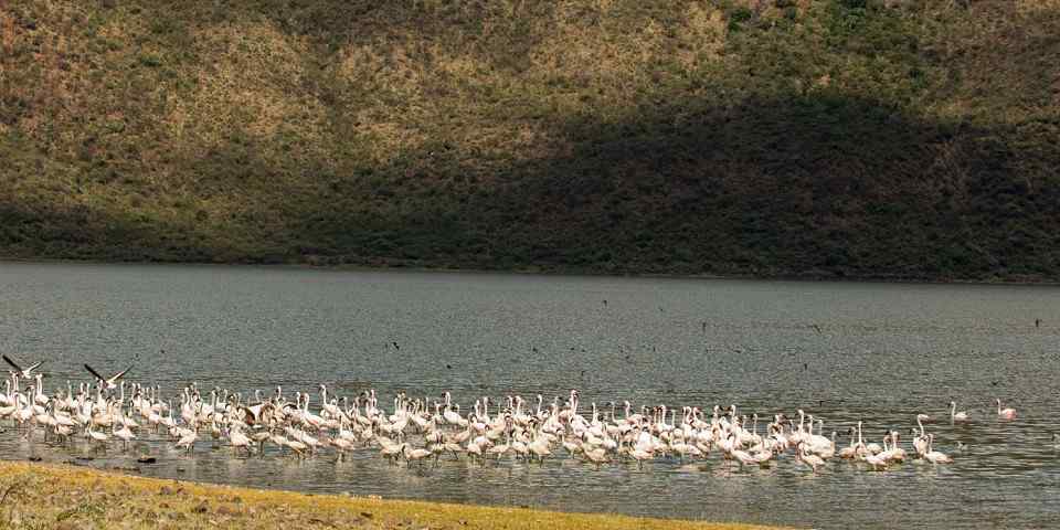 Lake Bogoria National Reserve – Travel Guide, Map & More!