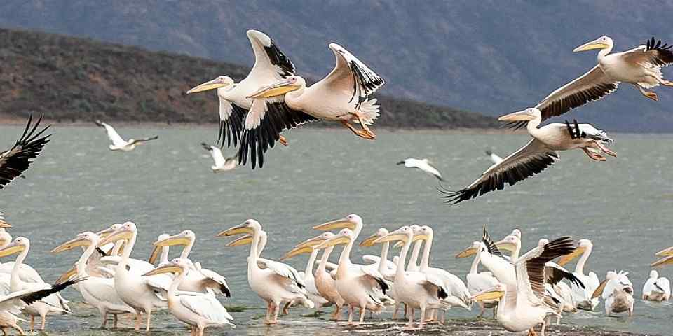 Shaba National Reserve – Travel Guide, Map & More!