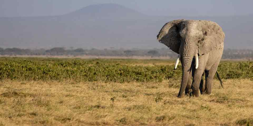 Masai Mara Map – Detailed map of Masai Mara National Reserve
