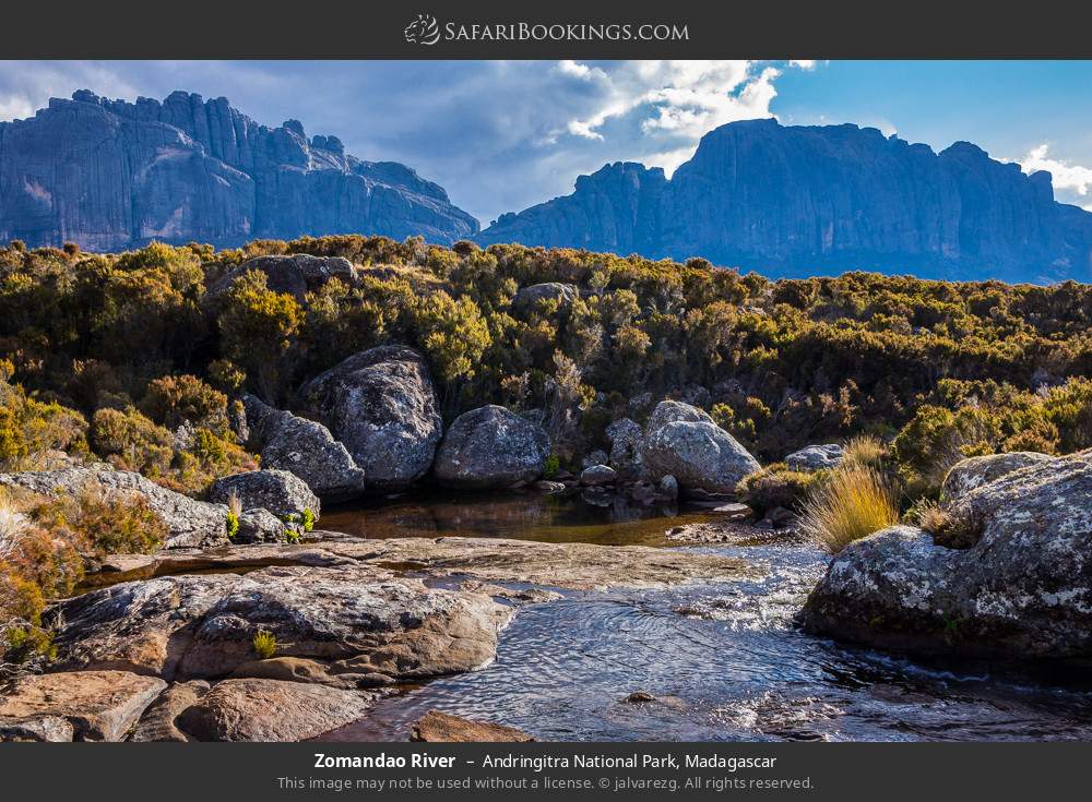 Madagascar Safari: 15-Day Best of Wildlife of Madagascar